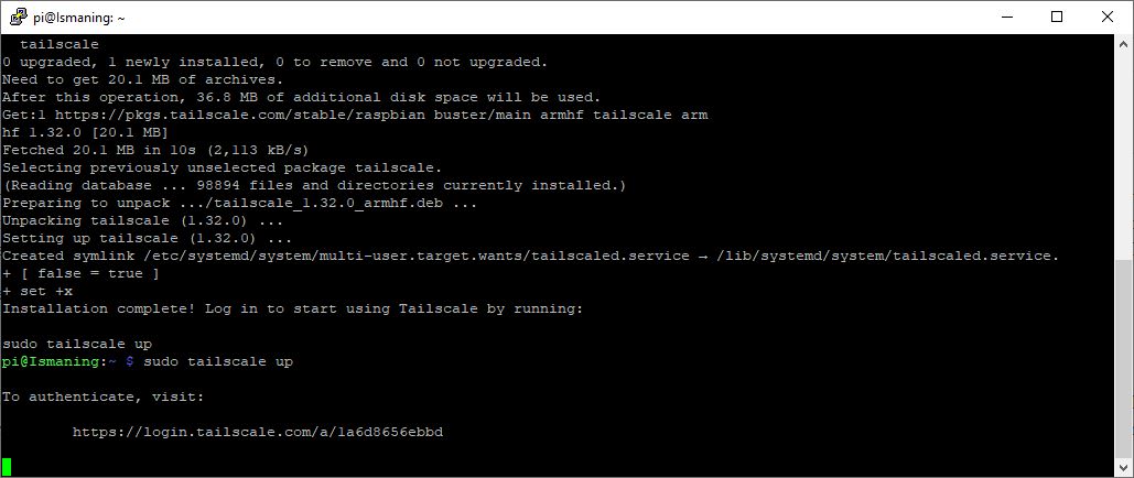 Tailscale_Raspberry_Pi_installation - BlogYourEarth